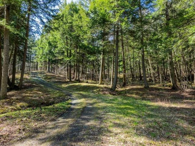 334 Log Cabin Dr, Pomfret, VT 05067