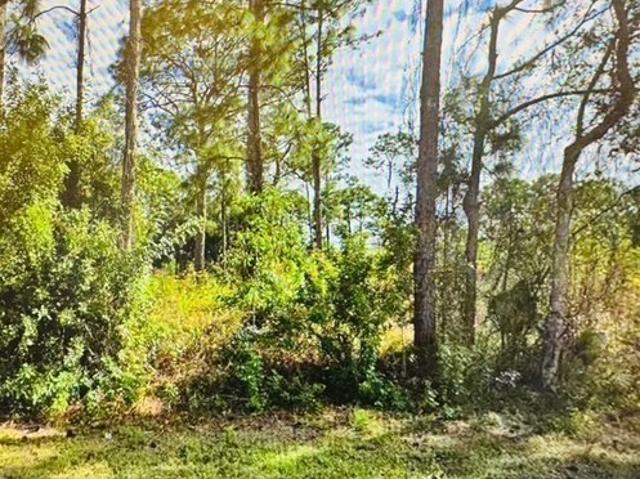 334 Mangonia Ave, Lehigh Acres, FL 33974