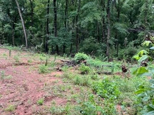 334 Sabine, Bullard, TX 75757