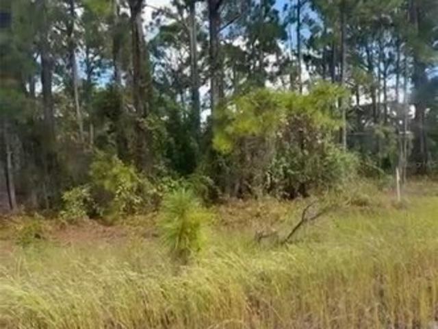 334 Sun Ct, Lake Placid, FL 33852