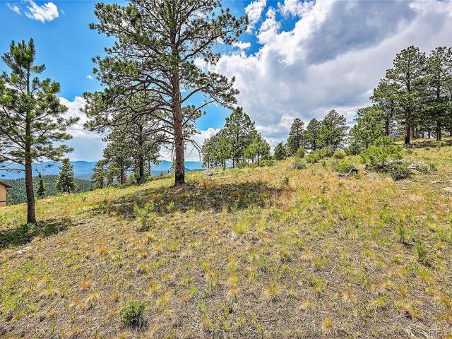 33550 Mount Wilson Trail