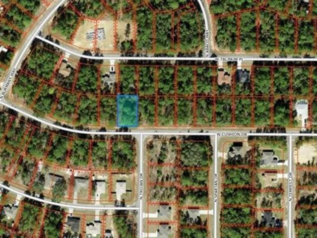 3357 W Cushion Dr, Citrus Springs, FL 34433