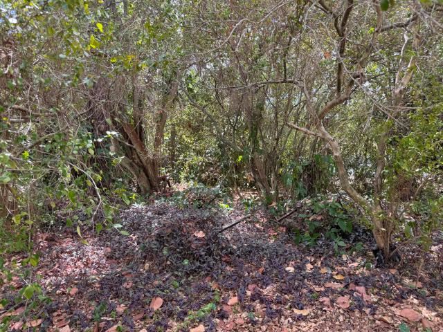 3358 Jog Rd, Greenacres, FL 33467 | MLS #B26054