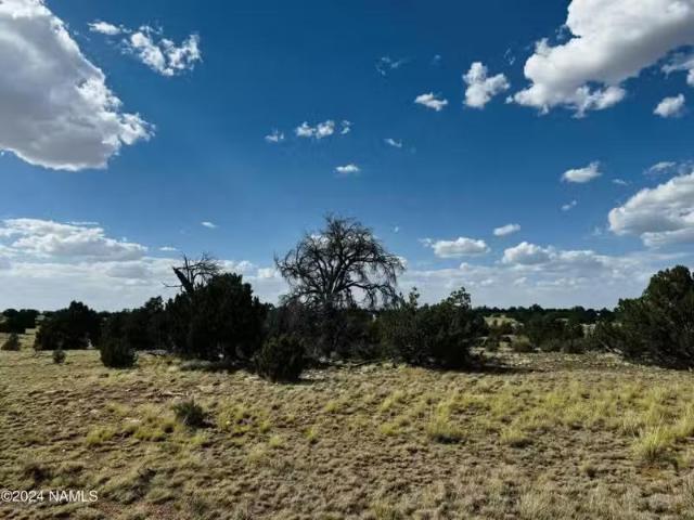 3359 E SILVER VALLEY RD, WILLIAMS, AZ 86046 Vacant Land For Sa.