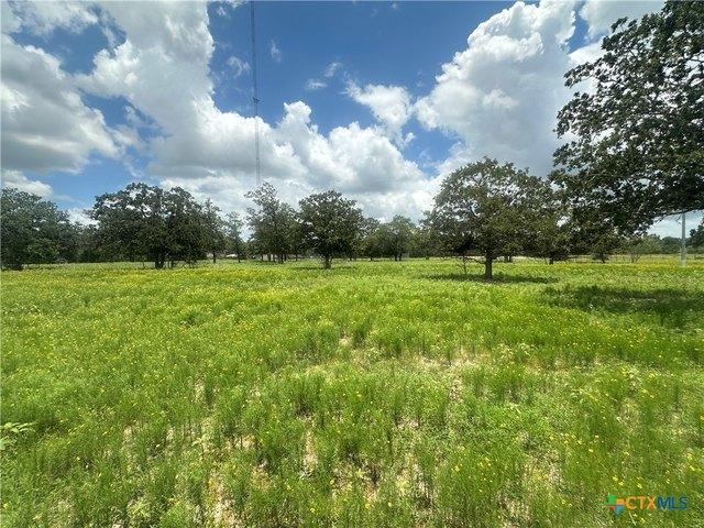 3351 W I 10 Frontage Rd Lot 8 10, Flatonia, TX 78941