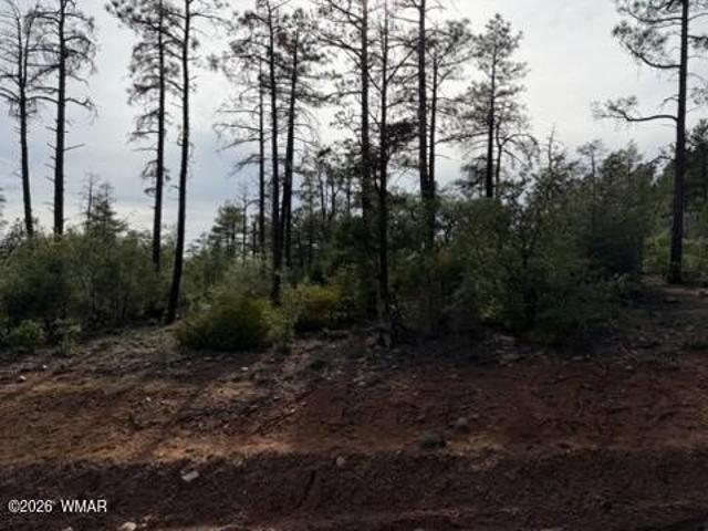 3352 Pine Needle Dr, Show Low, AZ 85901