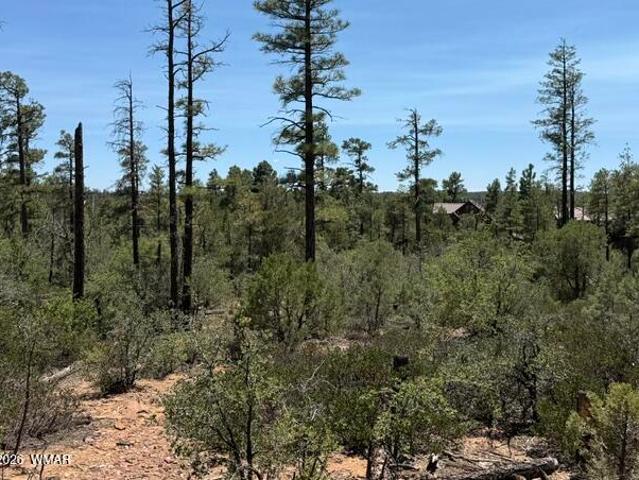 3352 Pine Needle Drive