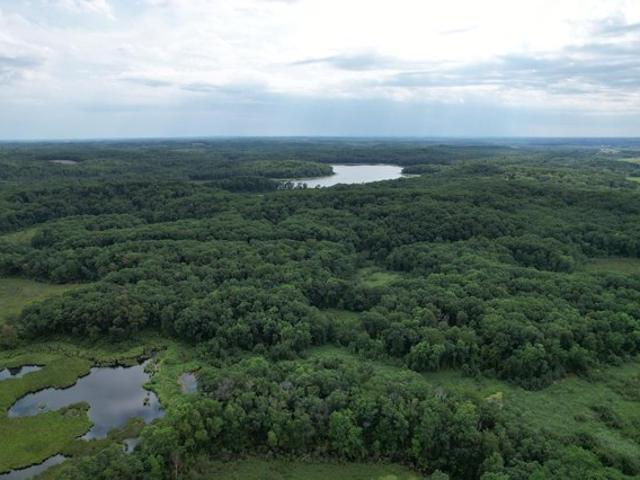 335th Avenue, MN 56443