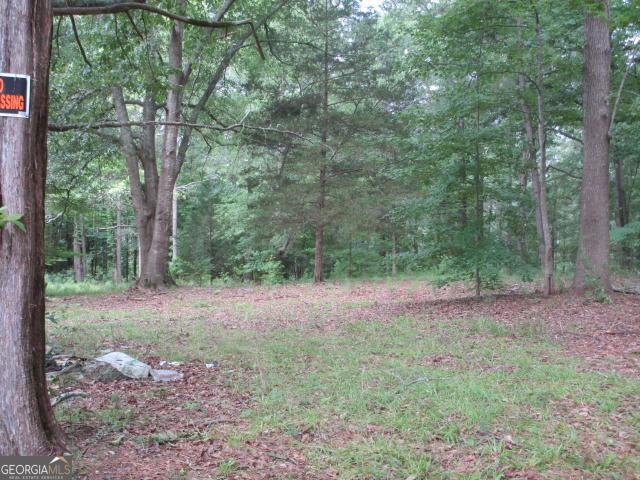 335 Amelia Road