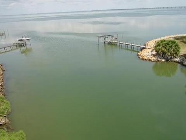 335 E Sawyer St Unit 5, Saint George Island, FL 32328