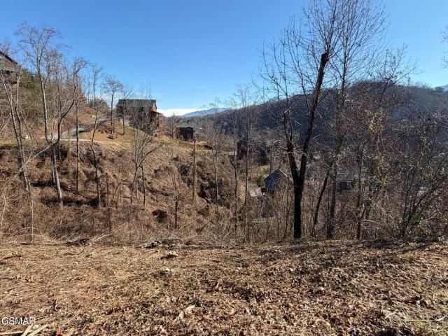 335 W Pinnacle Drive