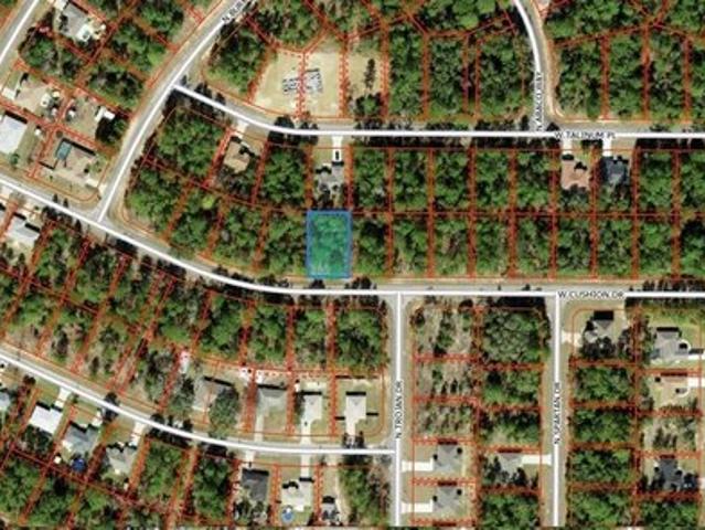 3369 W Cushion Dr, Citrus Springs, FL 34433