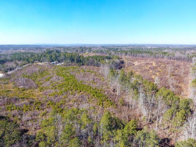 3363 Steadman Rd, Tallapoosa, GA 30176