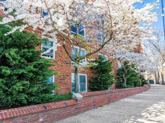 3363 Sedgwick Avenue 6N