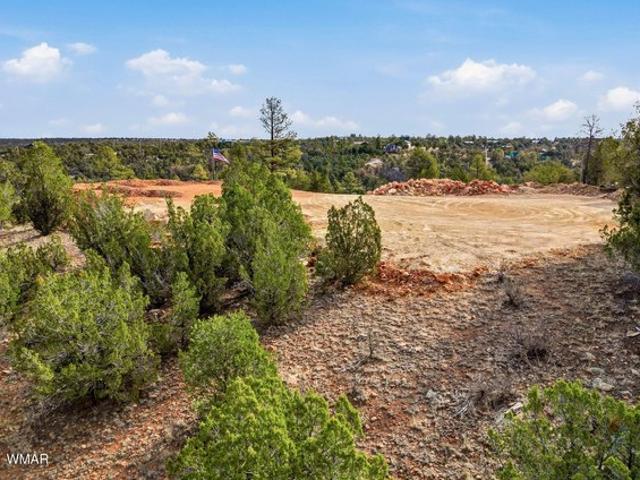 3363 Spring Ct, Heber, AZ 85928