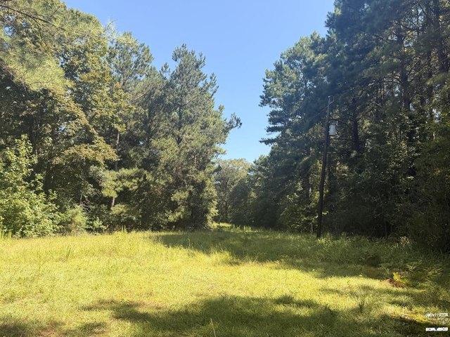 336 County Road 3992, Bloomburg, TX 75556