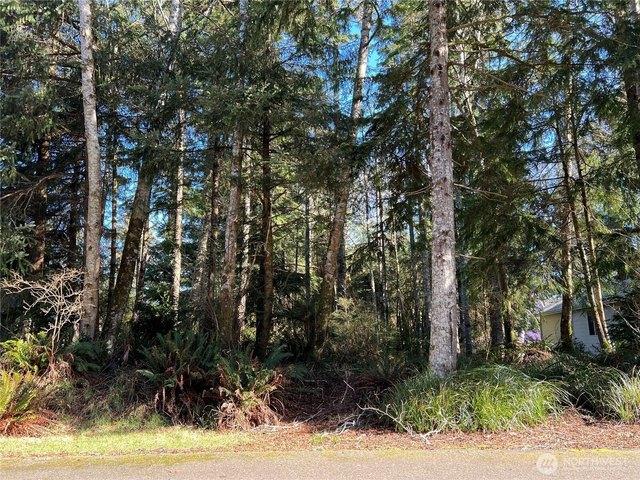 336 Hyde Ct NE Lot 23, Ocean Shores, WA 98569