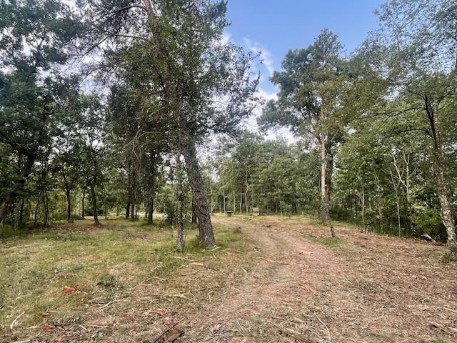 336 Juniper Trail