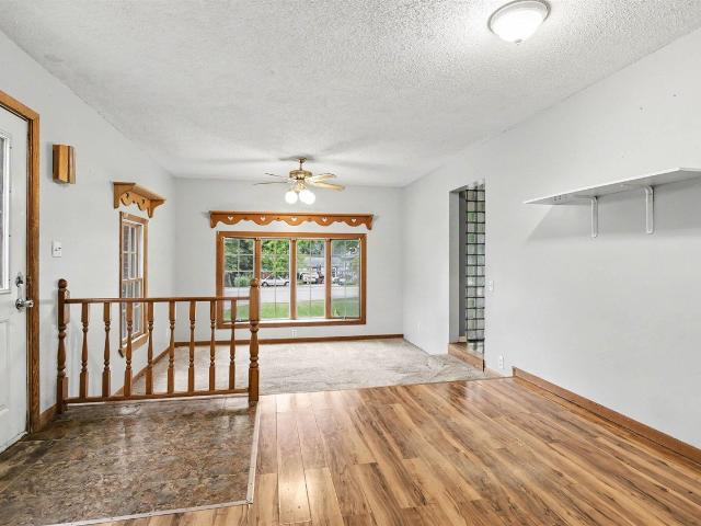 336 Paw Avenue