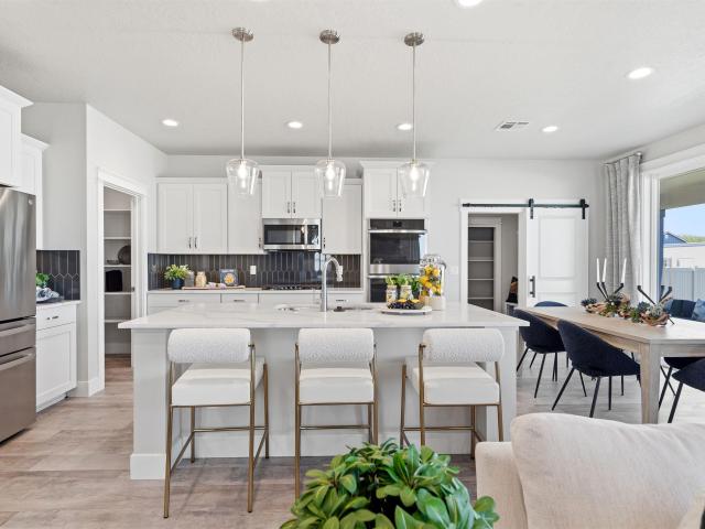 3375 W Caddisfly St