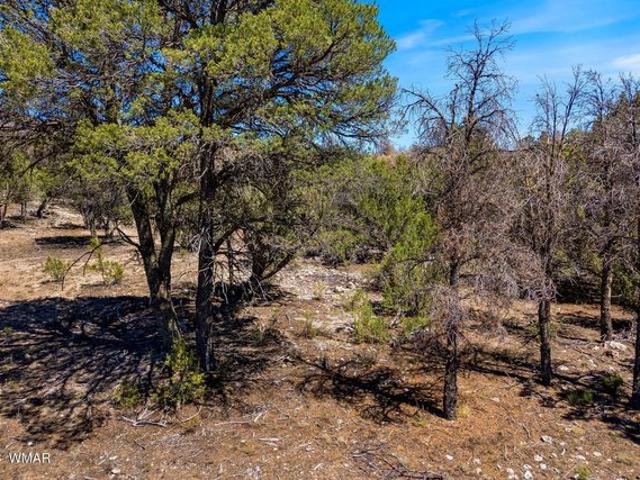3371 Weese Run, Overgaard, AZ 85933