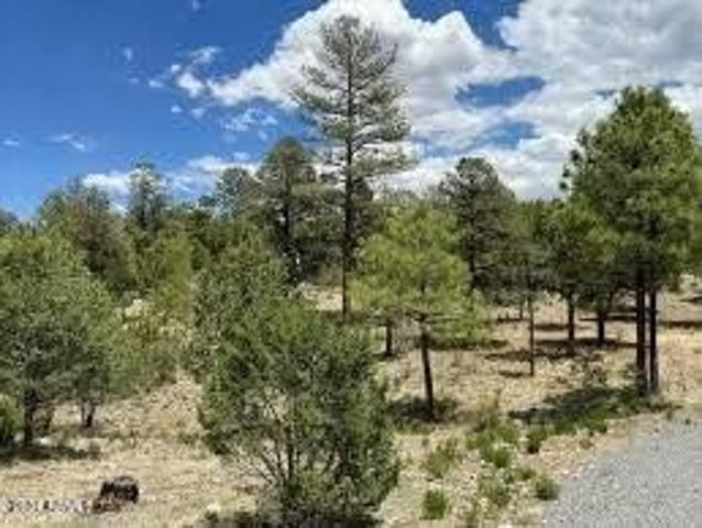 3372 Whisper Ln Unit 153, Heber, AZ 85928