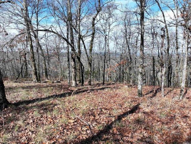 3373 Highway 347, Bismarck, AR 71929