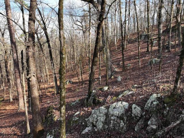 3373 Highway 347