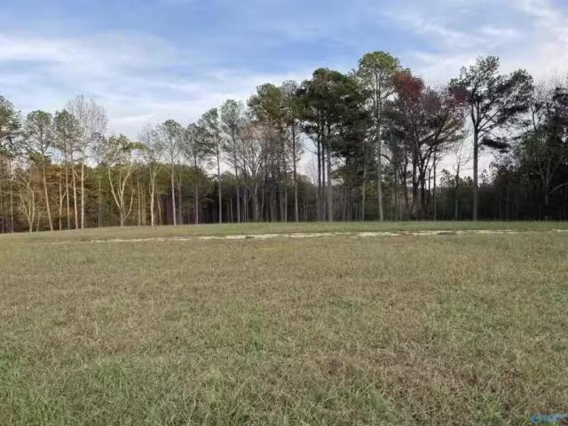 3373 SHADY GROVE RD, BOAZ, AL 35956 Vacant Land For Sale MLS#.