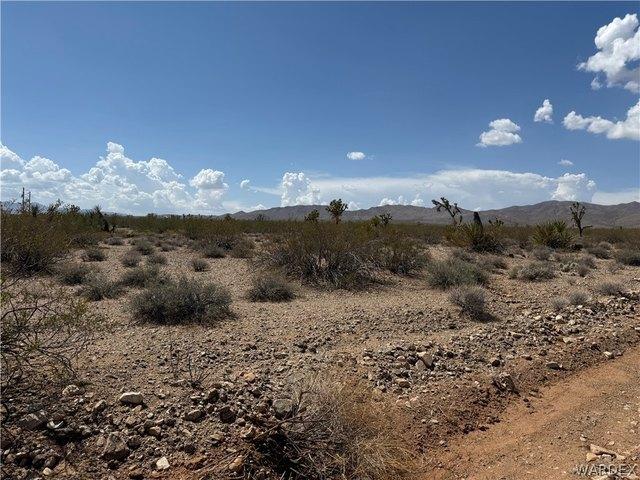 337 05 Granite Dr, Meadview, AZ 86444