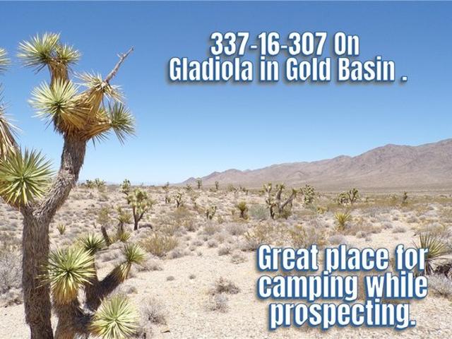 337 16 Gladiola Rd, Meadview, AZ 86444