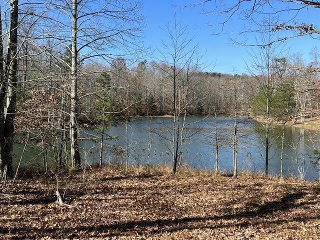 337 Bluff View Dr, Dunlap, TN 37327
