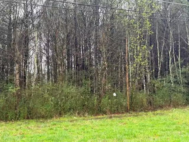 337 Mac Johnson Rd NW, Cartersville, GA 30121 MLS 7393411