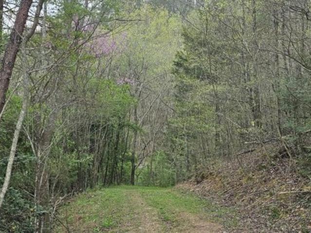337 Price Rd, Reliance, TN 37369