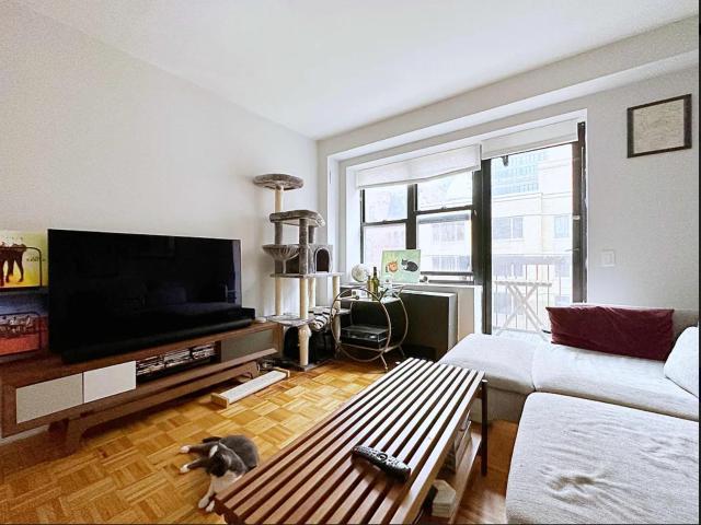 337 W 43rd Street 6B