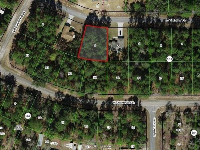 3386 W Talinum Pl, Citrus Springs, FL 34433