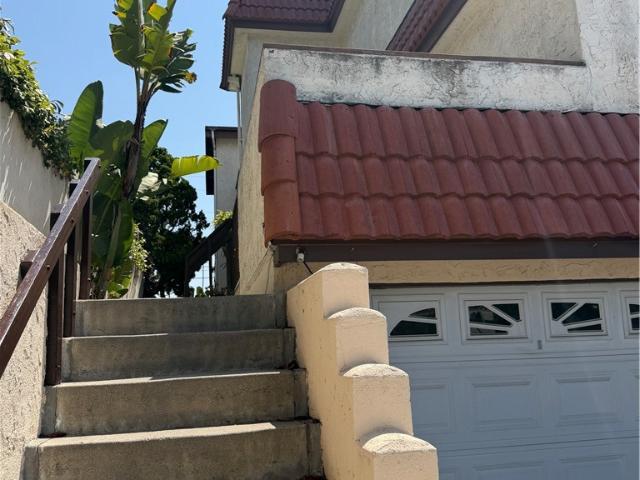 33884 Street of the Violet Lantern