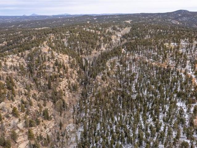 3388 3 N Mountain Estates Rd, Florissant, CO 80816
