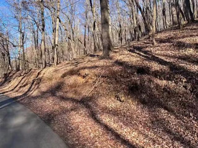 3381 Bella Vista Trail, Jasper, GA 30143 MLS 7495819