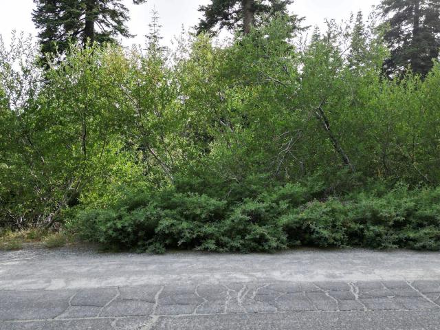 33826 Upper Leland Rd