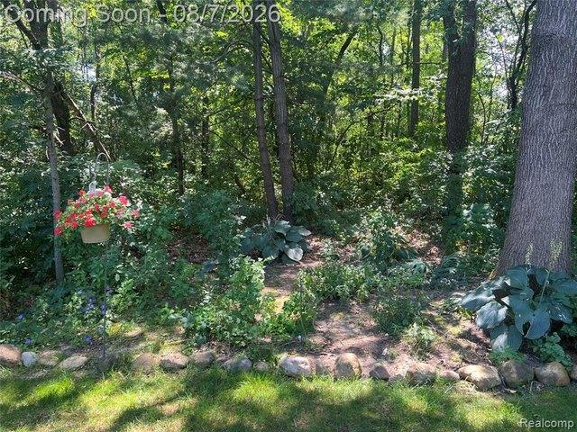 3383 Baldwin Woods Dr, Orion, MI 48359