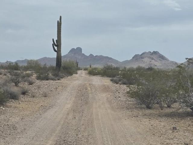 338XX W Cloud Rd, Wickenburg, AZ 85390
