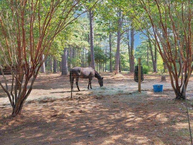 338 County Road 2041, Nacogdoches, TX 75965