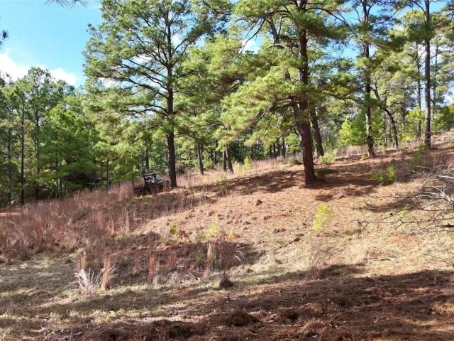 338 Copeland Hill Road, Smithville, US, TX