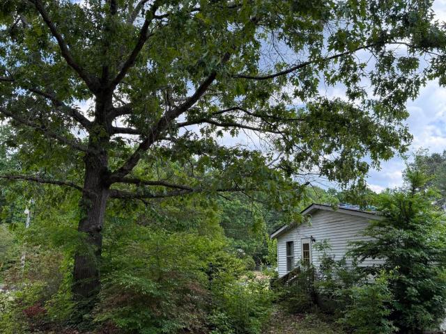 338 Abbott Road