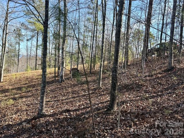 338 Grandview Peaks Drive # 36