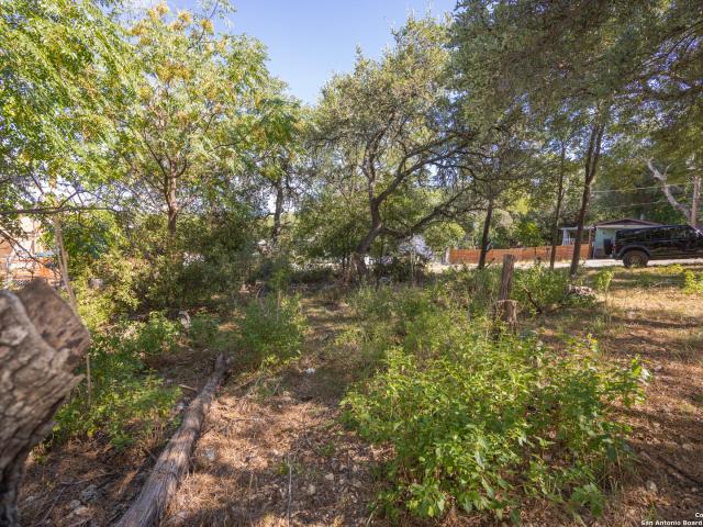 338 Grey Fawn Dr, Canyon Lake, TX 78133 | MLS #1898