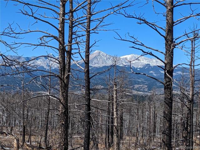 338 Hagin Ln, Fort Garland, CO 81133 | MLS #6162 | Compass