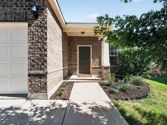 338 Pine Arbol