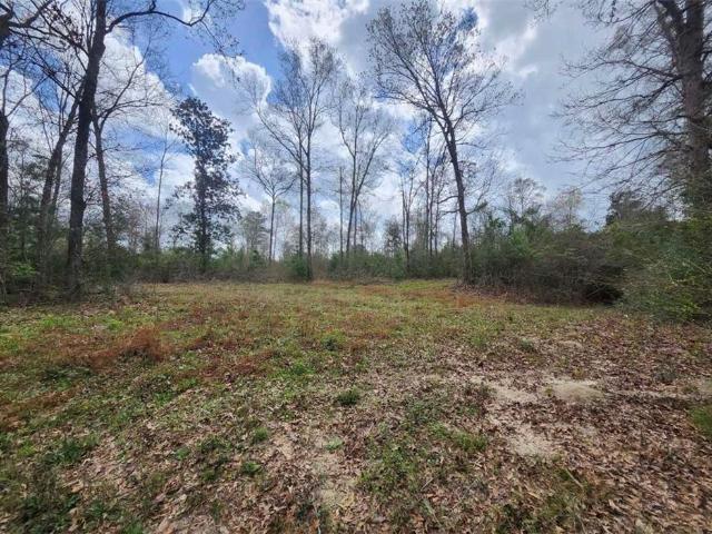 33979 Hwy 441 Highway